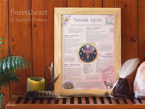 Menstrual Cycle Map Female Cycle Ecofriendly A3 Print Infographic Period Ovulation Womb