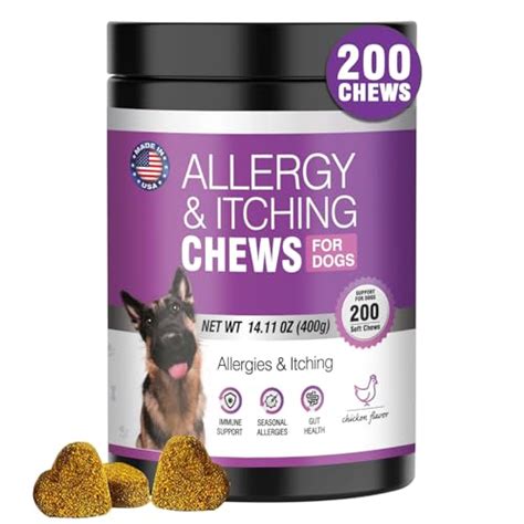 Best Dog Itch Relief Medications For Itchy Skin And Itchy Ears Amys