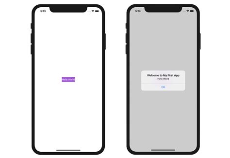 3 Hello World Build Your First App In Swift · Beginning Ios 17 Programming With Swift And