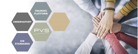 Strengthening The Credibility Of The International System And