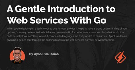 a gentle introduction to web services with go honeybadger developer blog
