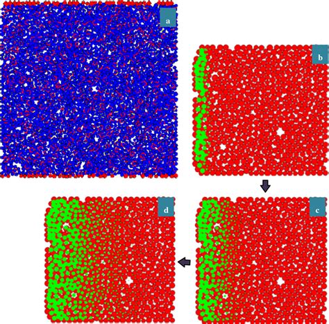 numerical modelling of the seepage process in a soft rock sample