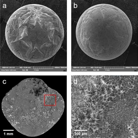 Sem Micrographs Of The Top A And Bottom B Surfaces Of Sample 3