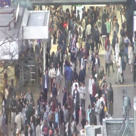 Heads Test Object Detection Dataset And Pre Trained Model By Mio