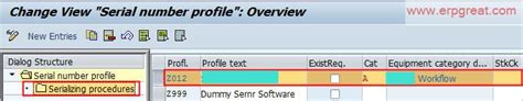 Serial Number Profile From Sap Mm