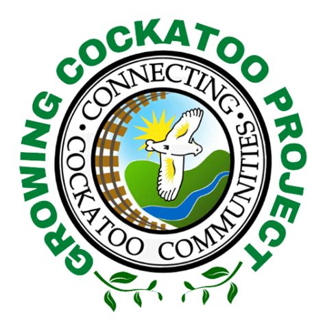 Growing Cockatoo Cockatoo Victoria 3781