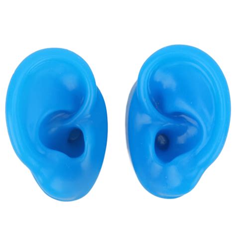Soft Silicone Ear Model Pair For Demonstration And Teaching Flexible
