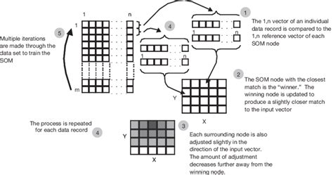 The Iterative Self Organizing Map Som Training Procedure Download Scientific Diagram