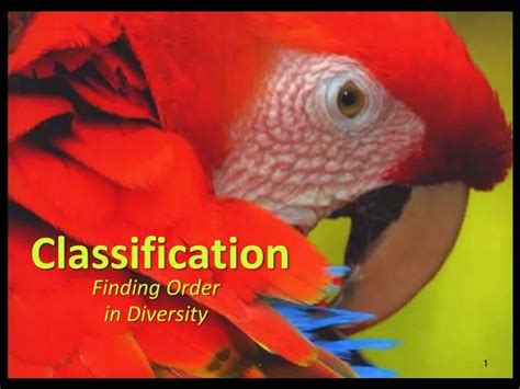 Ppt Classification Powerpoint Presentation Free Download Id2329194