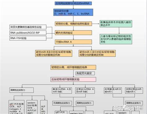 超实用可编辑ppt模板素材下载 23个技术路线图148页流程图模块图 知乎