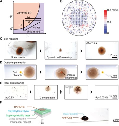Dynamic Self‐assembly And Interfacial Jamming Transition A Schematic Download Scientific