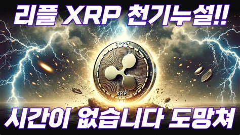 리플 끝났네요 Youtube