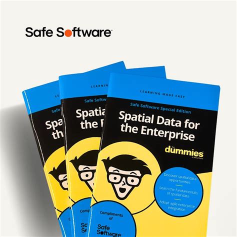 Realeye Digital On Linkedin Gis Fme Safesoftware