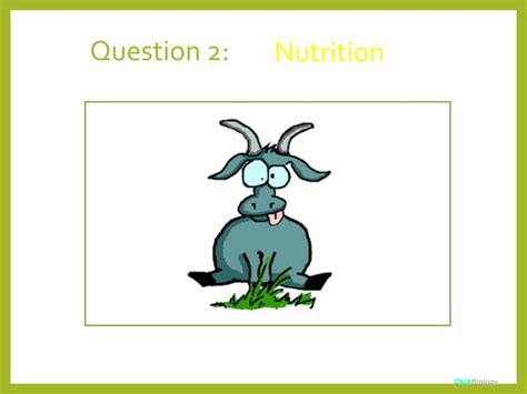 4 Grouping And Identifying Organisms Pptx