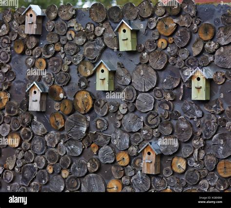 Six Wooden Nesting Boxes On Wall Between Slices Of Tree Trunks Stock Photo Alamy
