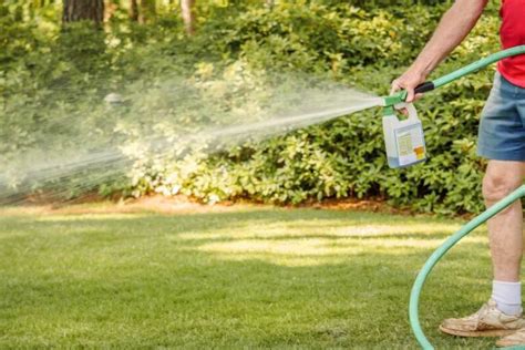 Will Fertilizer Kill New Grass