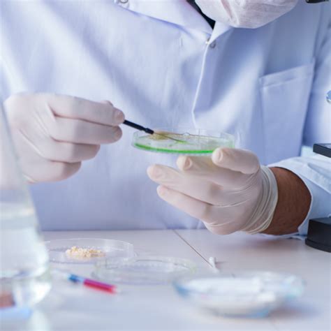 Antimicrobial Resistance Key Policy Updates