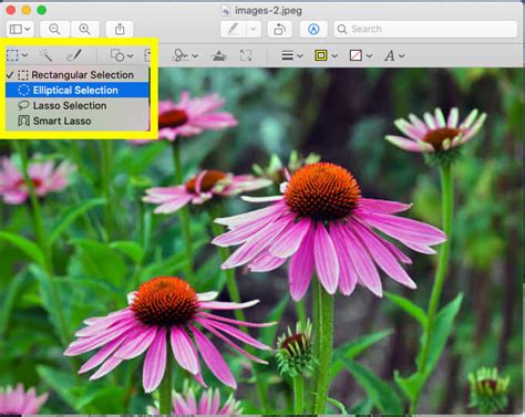How To Crop Image On Mac Preview MacOS Ventura Monterey Earlier