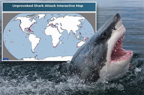 Where Youre Most Likely To Experience A Shark Attack Map