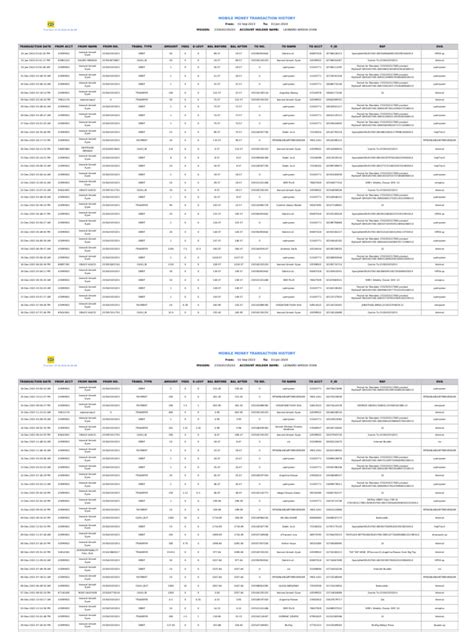 Momo Statement Report Pdf Money Corporate Jargon