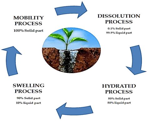 Superabsorbent Polymer Hydrogels For Sustainable Agriculture A Review