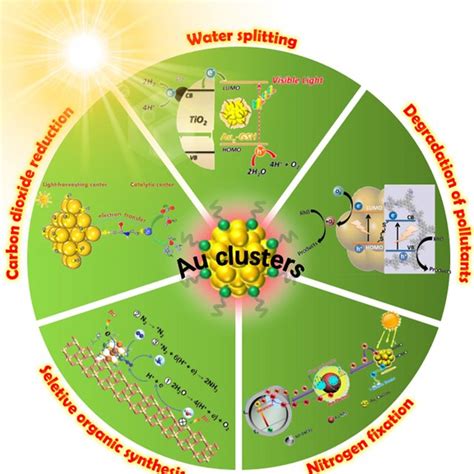a schematic illustration for the synthesis of sio2 au gsh clusters bpei download scientific