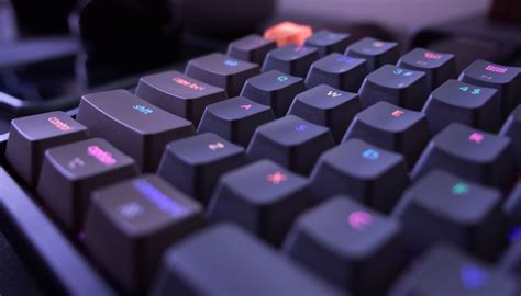 The Most Searched Terms October To December 2021 The Us Spreadshirt Blog