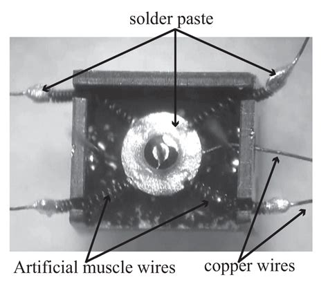 Robotics Special Issue Advances In Biomimetic Robotics