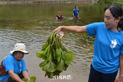 จาก โขง เลย ชี มูล สู่ ประตูระบายน้ำศรีสองรัก โครงการผันน้ำอีสานบนทางสองแพร่ง Sarakadee Magazine