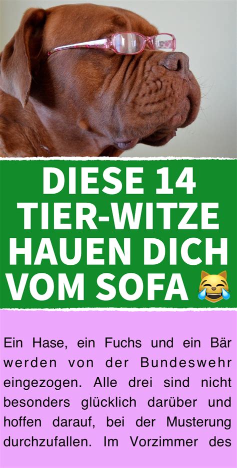 Das Sind Die 14 Genialsten Tier Witze Heftig