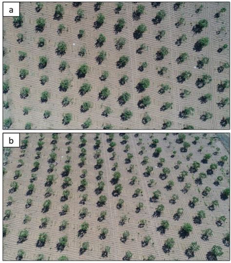 High Resolution Uav Rgb Imagery Dataset For Precision Agriculture And