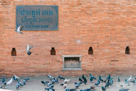 10 ที่เที่ยวในเมืองเชียงใหม่ ชมวัดสวย ถ่ายรูปปัง น่ามานั่งชิล