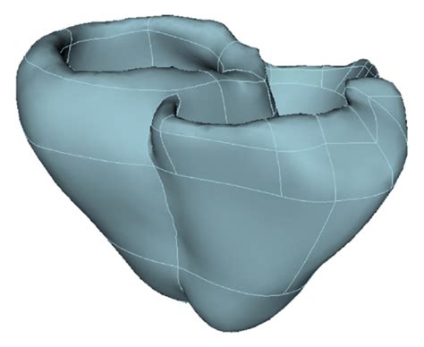 Full Scale Three Dimensional Geometrical Model Of A Human Heart Download Scientific Diagram