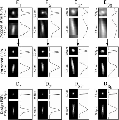 Top And Middle Projections Of The Psfs Extracted From The Confocal Download Scientific