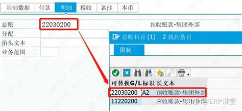 Sap系统 备选统驭科目 知乎