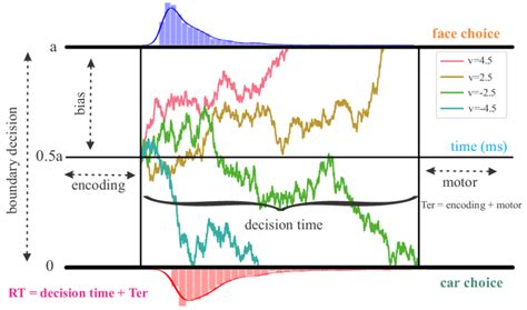 Trajectories Of Drift Diffusion Model For Two Stimuli With Various Download Scientific Diagram