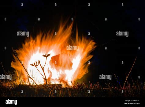 A Campfire Closeup Slow Shutter Speed Silhouette Of Plants On The Background Of Fire Shot