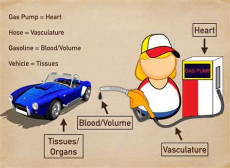 Sepsis Flashcards Quizlet
