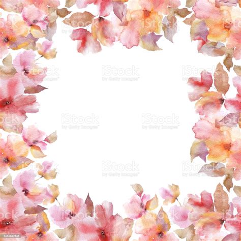 꽃 프레임 수채화 손으로 그린 꽃 분홍색 꽃이있는 인사말 카드 결혼식 초대장 디자인 개화기에 대한 스톡 벡터 아트 및 기타 이미지 Istock