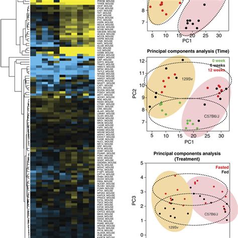 A Heatmap And Unsupervised Hierarchical Clustering Of Protein