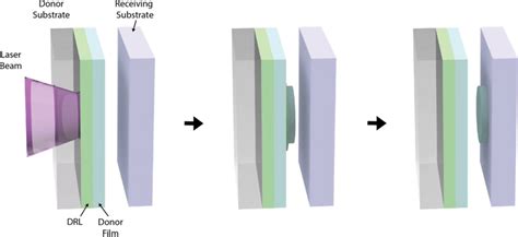 Schematic Illustration Of Lift With A Dynamic Release Layer Drl The Download Scientific