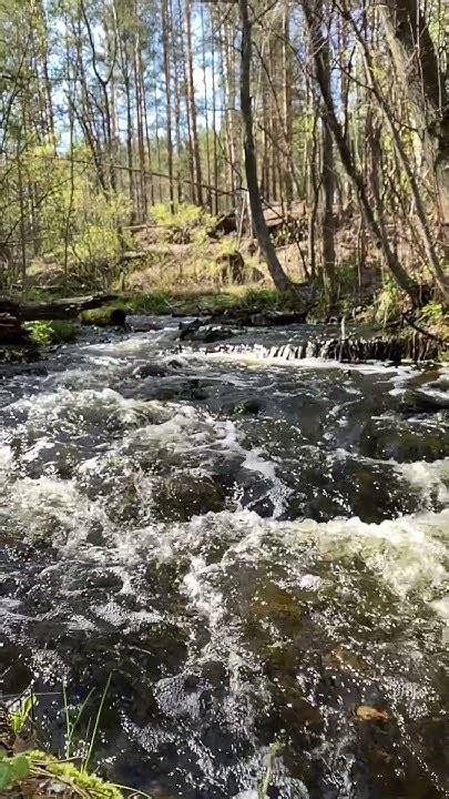 Медитация Youtube