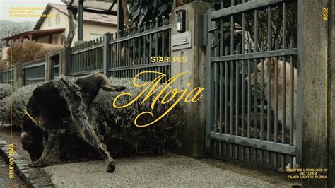 Stari Pes Moja Official Video Youtube