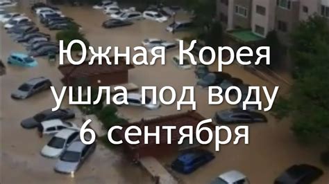 Южная Корея ушла под воду из за Тайфуна Хинамнор - YouTube