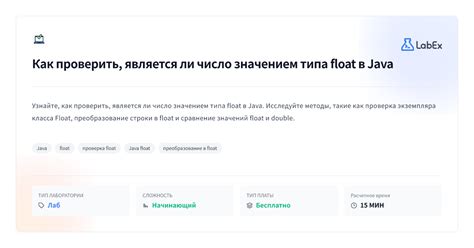 Как проверить является ли число значением типа Float в Java Labex
