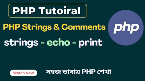 Php Strings And Comments Explained Echo Print Ending Statements In Php Learn Php For