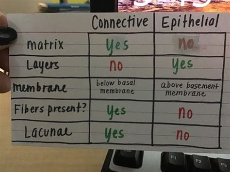 Ch AP Flashcards Quizlet