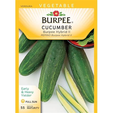 Burpee Wp Cucumber Burpee Hybrid Ii Seed 53350 The Home Depot