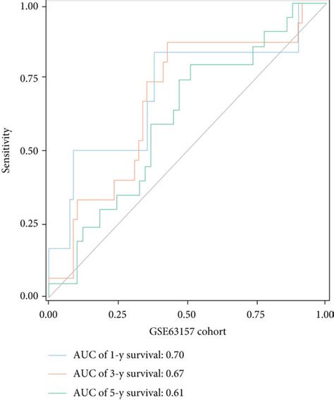Evaluation Of The Performance Of The Gene Signature By External