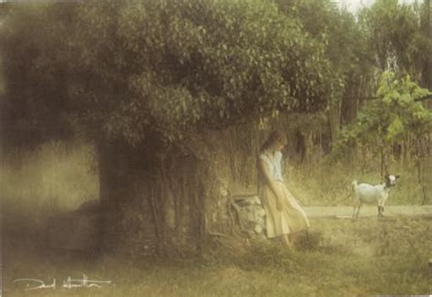 Photojenic 213 David Hamilton